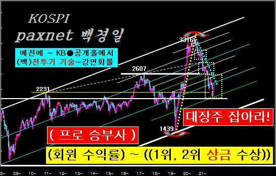 Lg에너지솔루션 투자전략 투자정보 전문가방송 팍스넷 증권포털