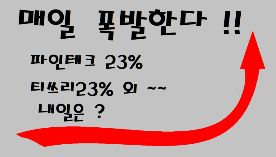 뜨기전에 잡아라 ~~ 투자전략 투자정보 전문가방송 팍스넷 증권포털