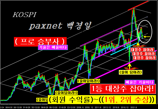 포착보유중 ~ 매일 특집 생방송 있습니다 투자전략 투자정보 전문가방송 팍스넷 증권포털