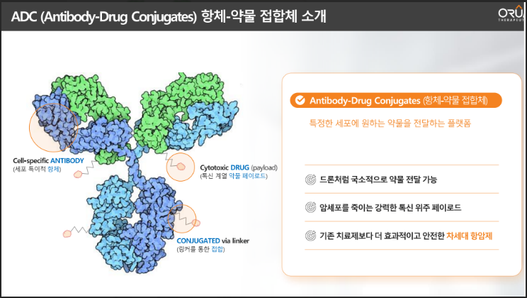 오름테라퓨틱, 급성 골수성 백혈병 치료제 ‘ORM-6151’완전관해 95% | 오름테라퓨틱(475830) | 종목토론 - 팍스넷 ...